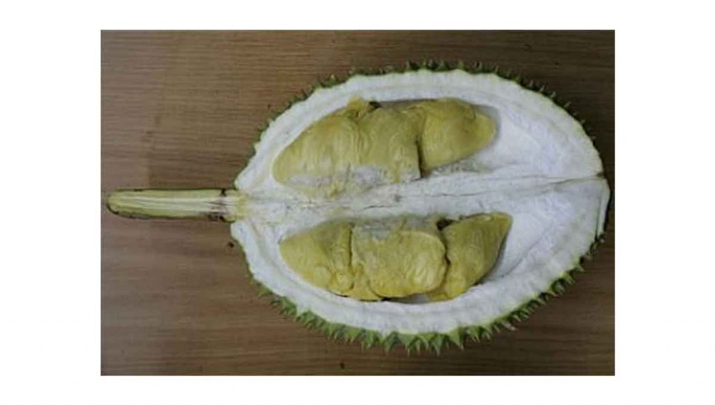 Segalanya Durians: 5 Jenis Durian Hutan Yang Terdapat di Borneo