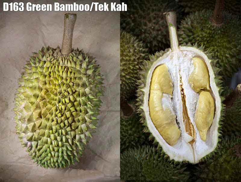 Segalanya Durians: 5 Jenis Durian Hutan Yang Terdapat di Borneo