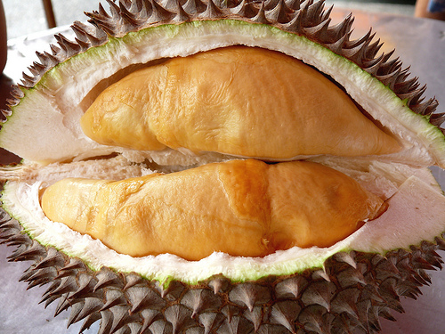Segalanya Durians: 5 Jenis Durian Hutan Yang Terdapat di Borneo