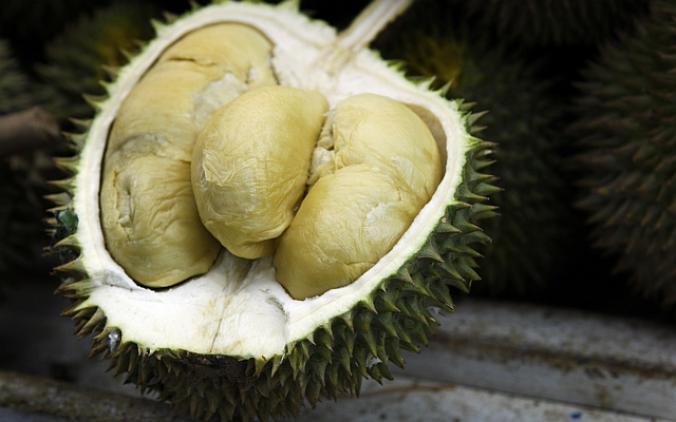 Segalanya Durians: 5 Jenis Durian Hutan Yang Terdapat di Borneo